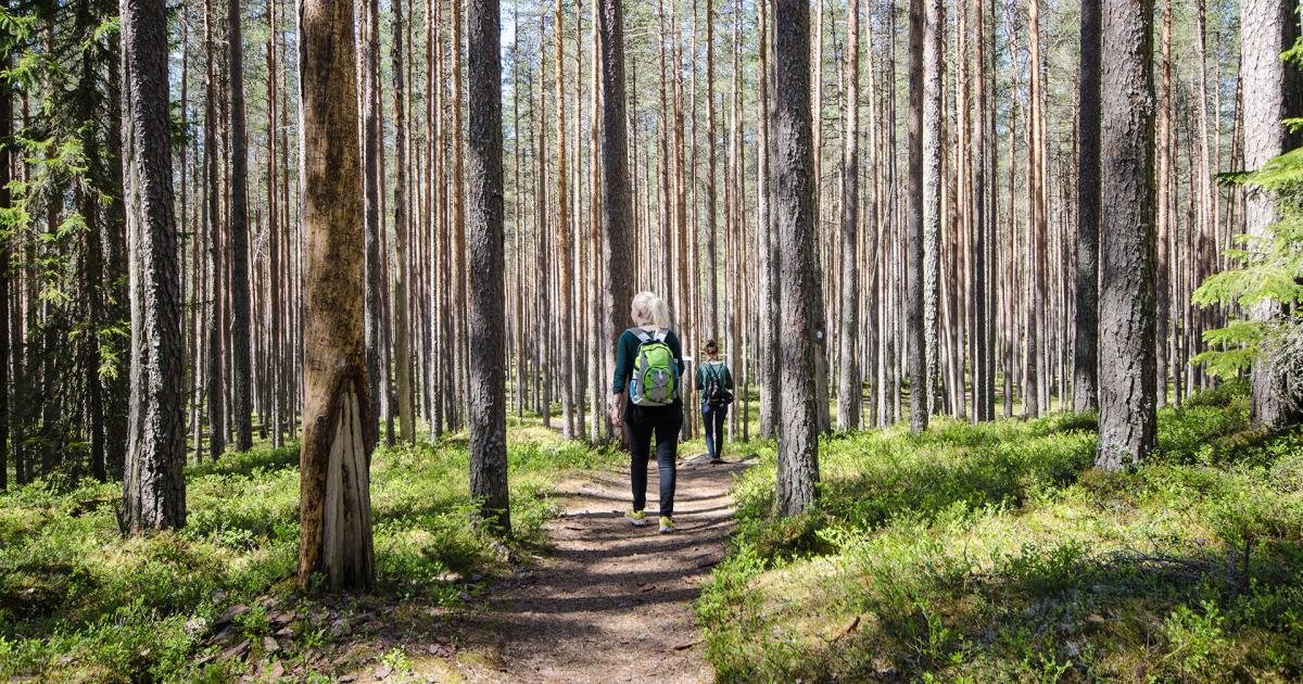 Intensive Online Seminar Week | Jamk