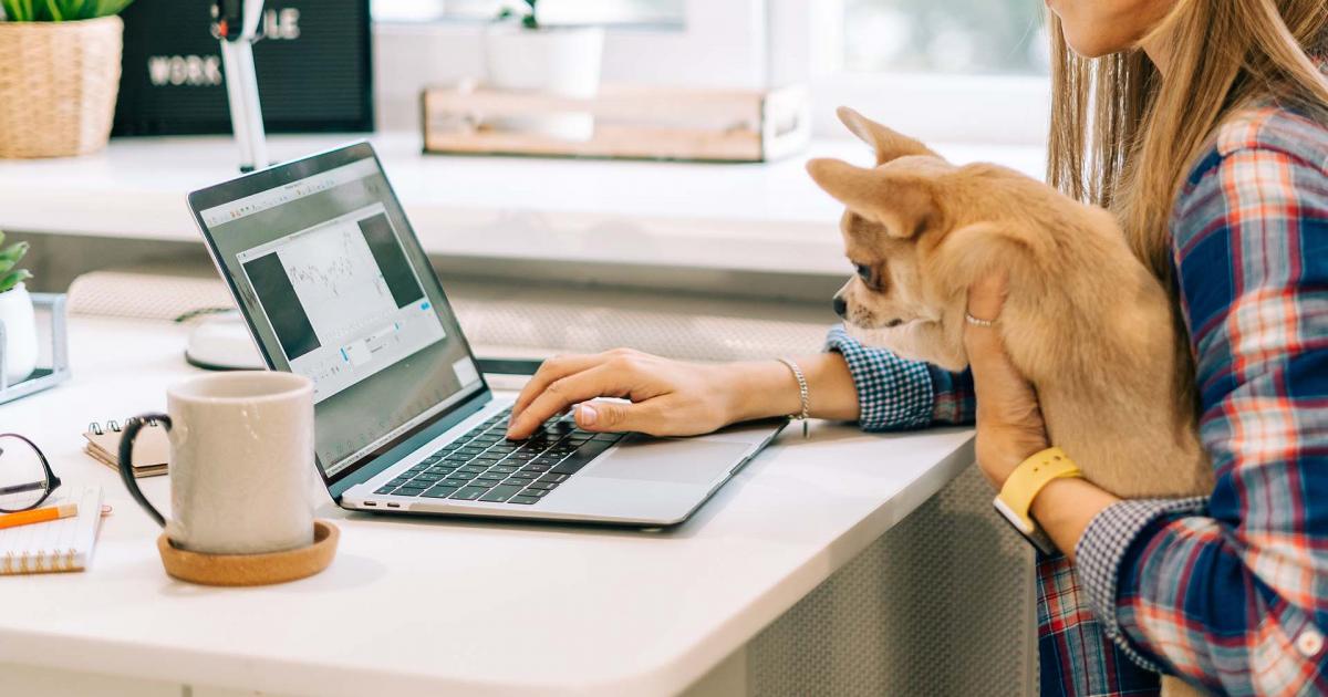 Visiting Student | Jamk