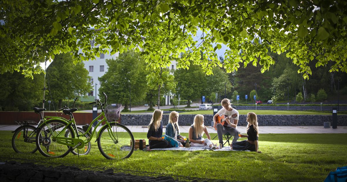 Supplementary Application, summer 2025 | Jamk